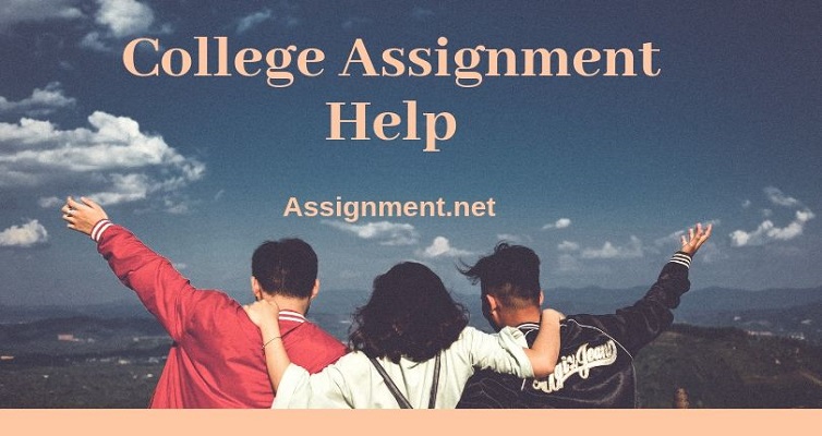 College Assignment Help, School Assignment Help, Assignment Help