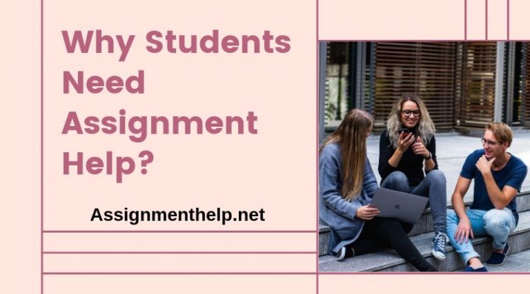 Why students need assignment help?