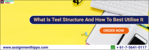 The Teel Structure | Assignmenthelp.net