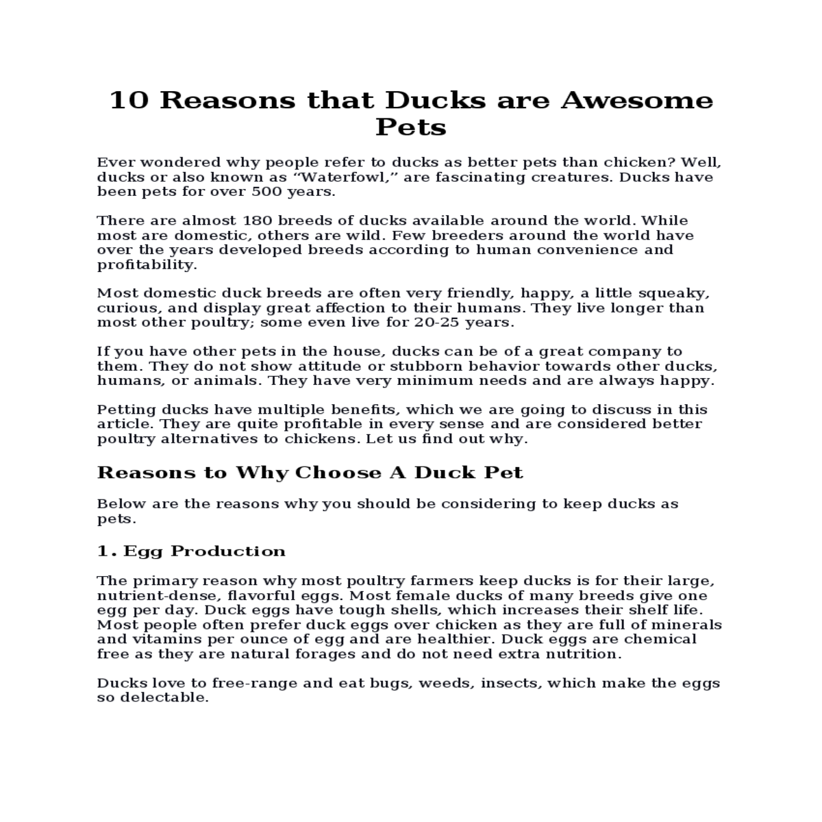 10 reasons that ducks are awesome pets