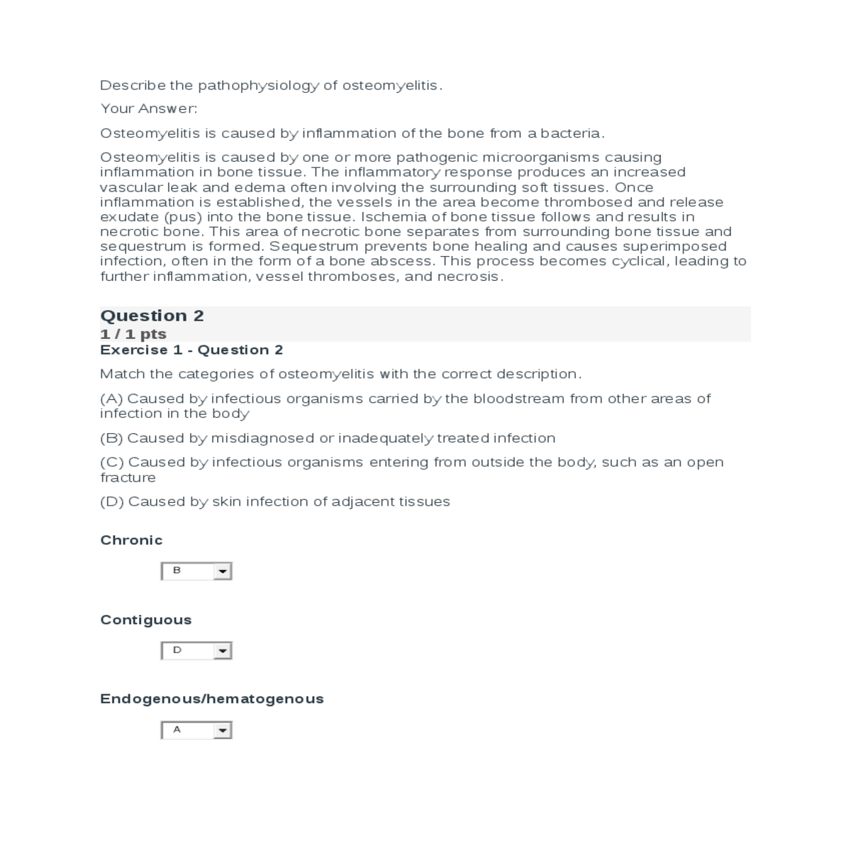 bone scan white blood cells xray