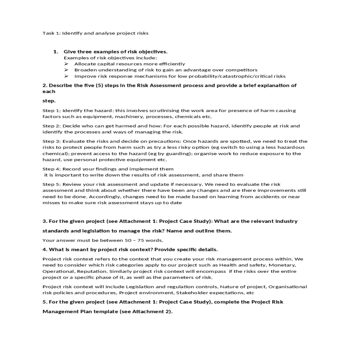 discus project risks objectives and standards