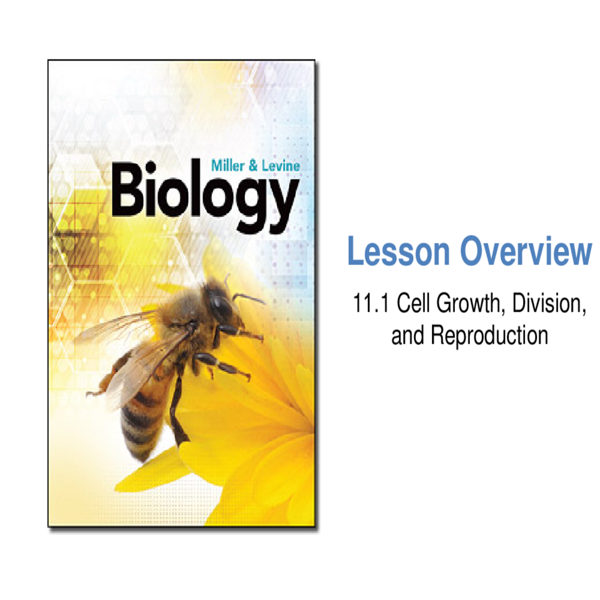 and reproductionlesson overview cell growth
