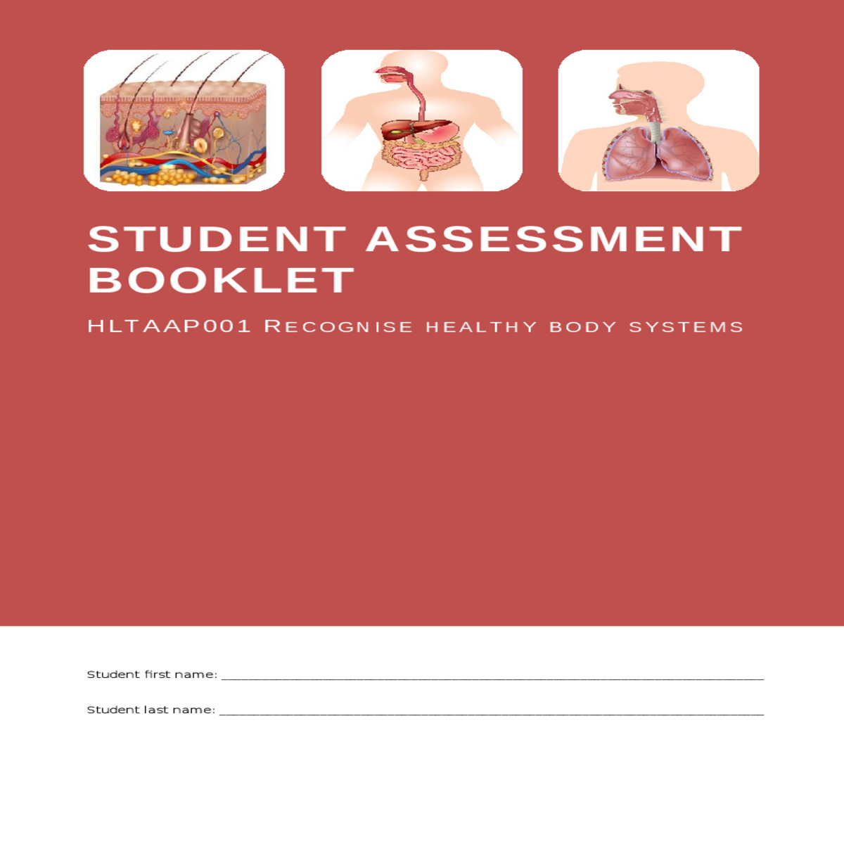 skeletal muscles and bones are called the musculoskeletal syste