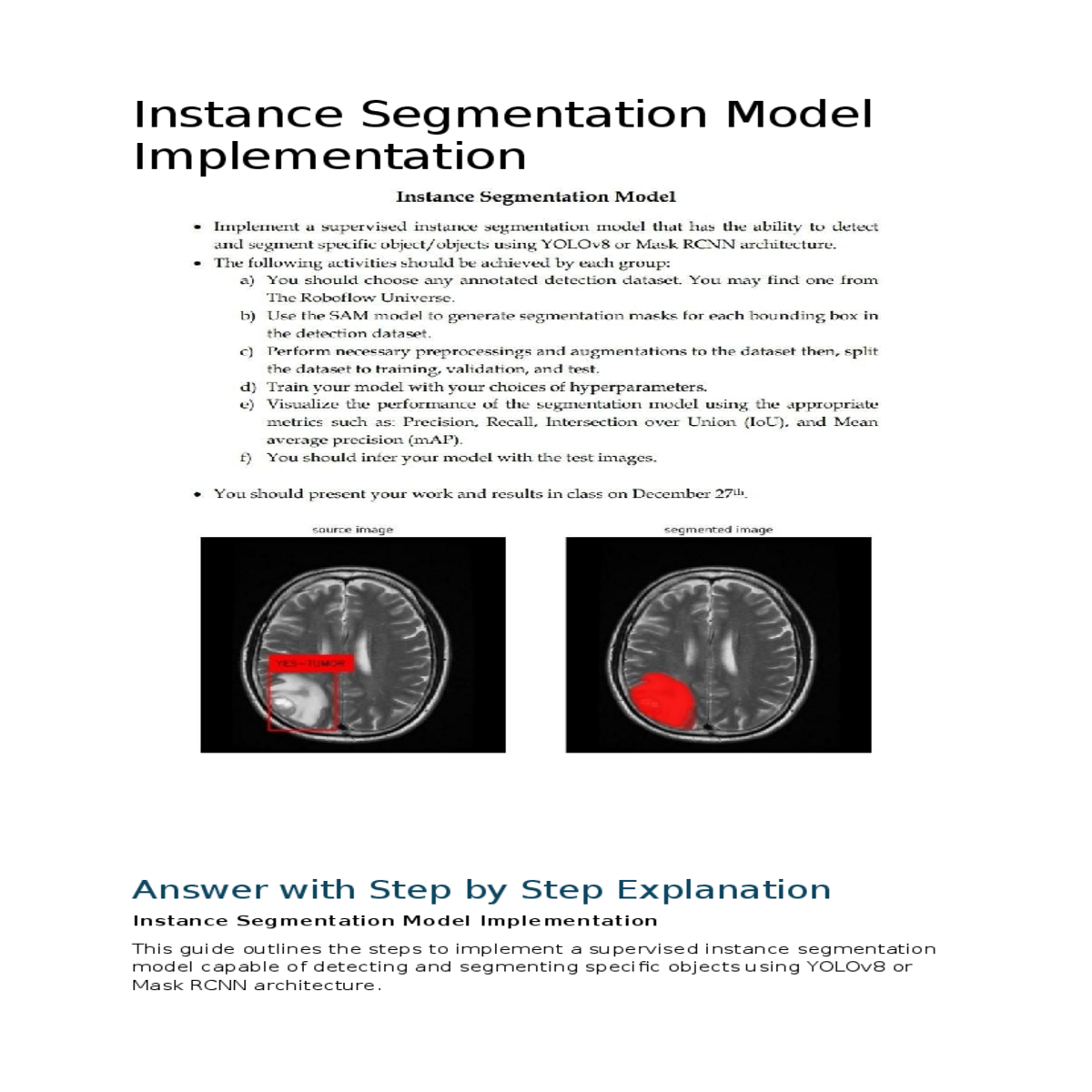 instance segmentation model implementation