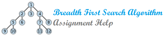 Breadth First Search Algorithm Assignment Help Online