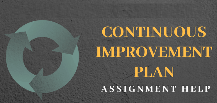 Continuous Improvement Plan Assignment Help | Expert Help