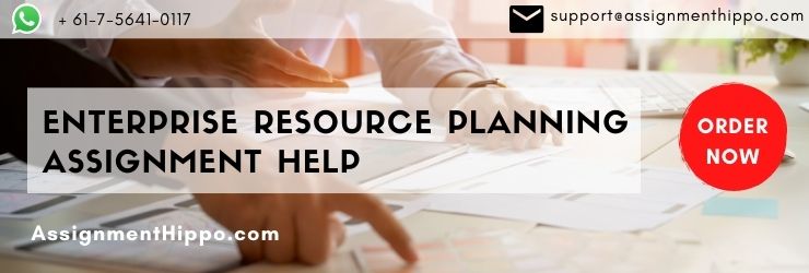 Enterprise Resource Planning Assignment Help | Enterprise Resource Planning Programming Homework ...