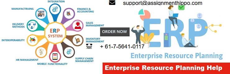 ERP Assignment Help | ERP Project Management Assignment Help