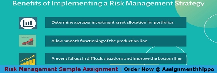 Risk Management Assignment Help Through Online Tutoring Sessions ...